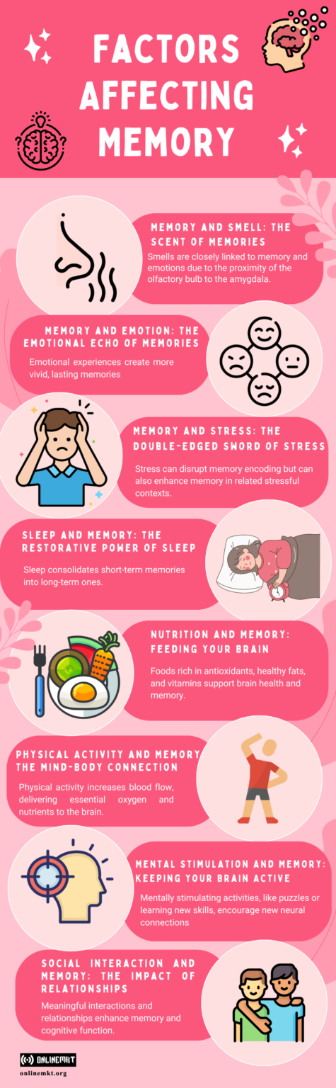 Factors Affecting Memory - onlinemkt
